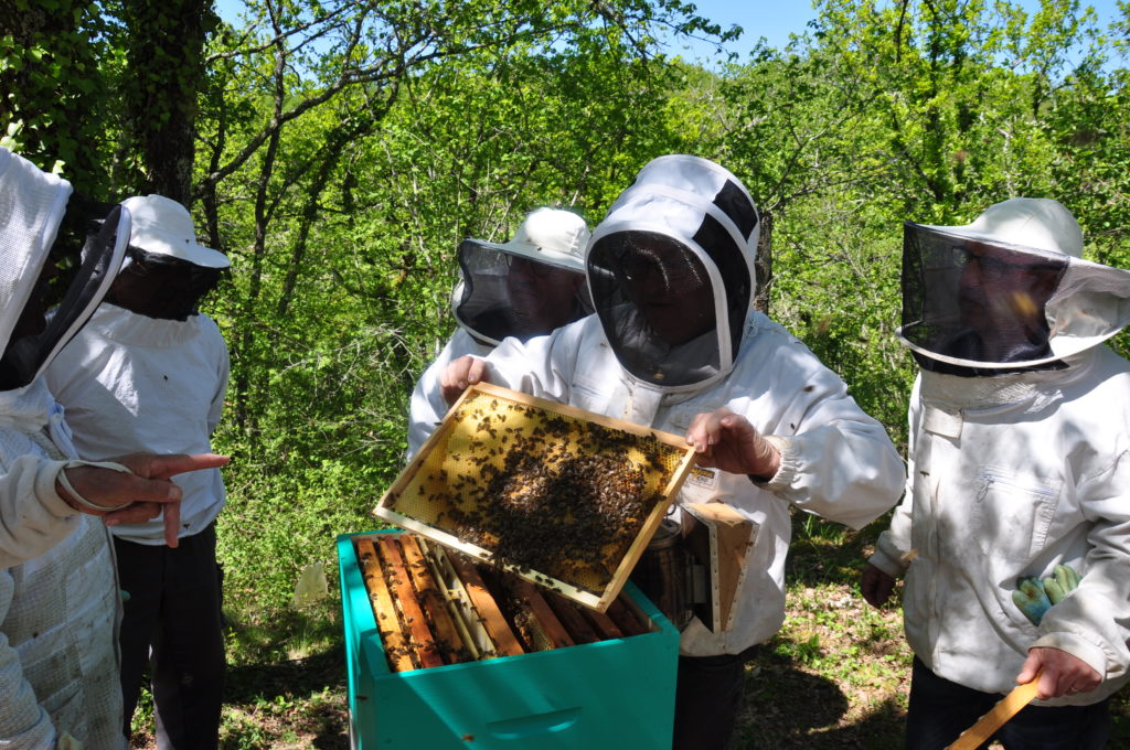 Intérêt général - Rucher École de Rocamadour