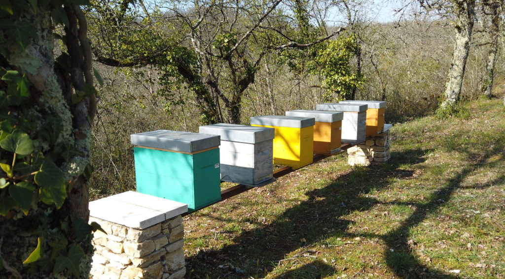 Prélèvements obligatoires - Rucher École de Rocamadour