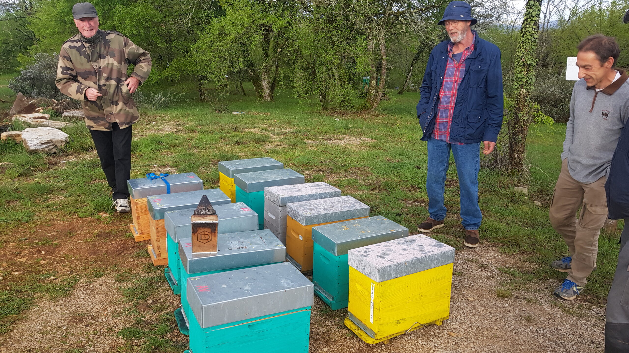 Essaims hivernés - Rucher École de Rocamadour
